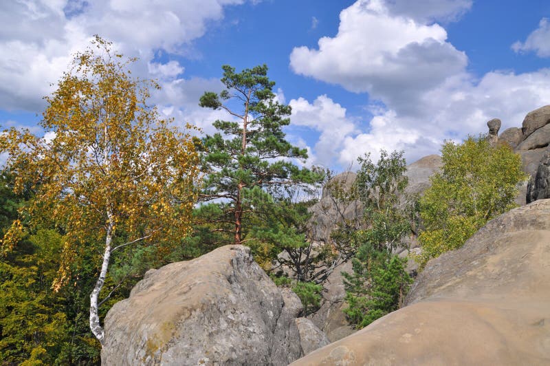 Trees on stones stock photo. Image of mountains, landscape - 15844750