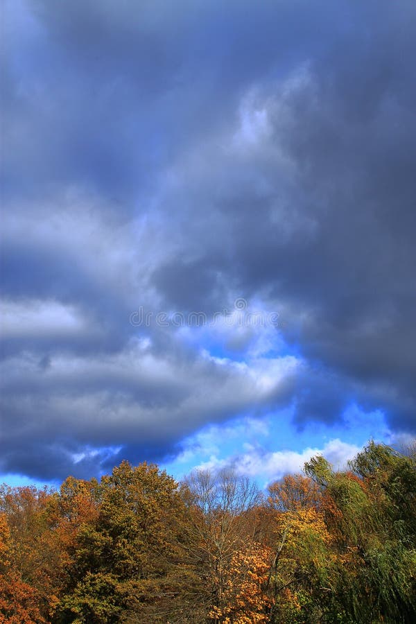 Trees and Storm Clouds Background Stock Photo - Image of strong, autumn ...