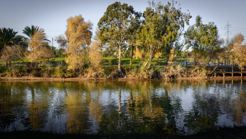 Trees and a Stream in the Park at Sunset Stock Image - Image of warm ...