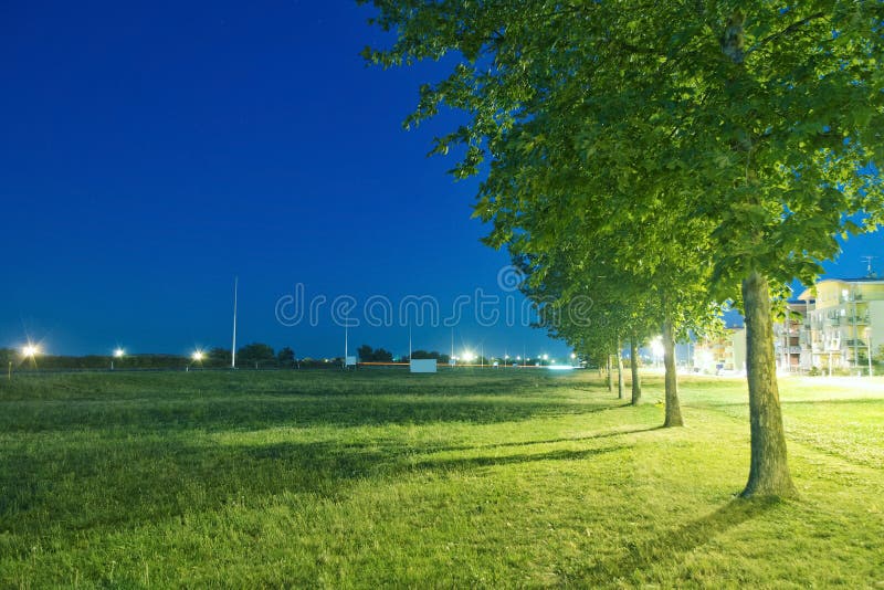 Trees by the Street at Night Stock Image - Image of lamp, lane: 42846655