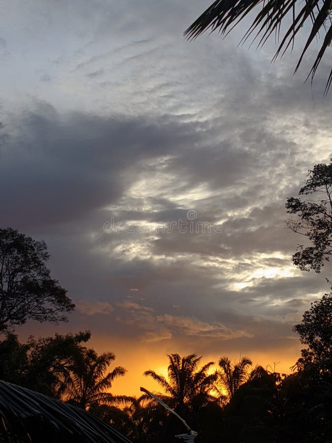 Trees with the Sunset , Aesthetic, Clouf Stock Image - Image of clouf ...