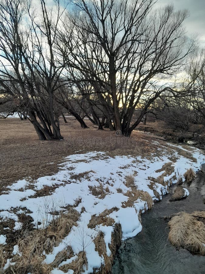 Sunset Clouds through Trees in Cheyenne Wyoming Stock Image - Image of ...