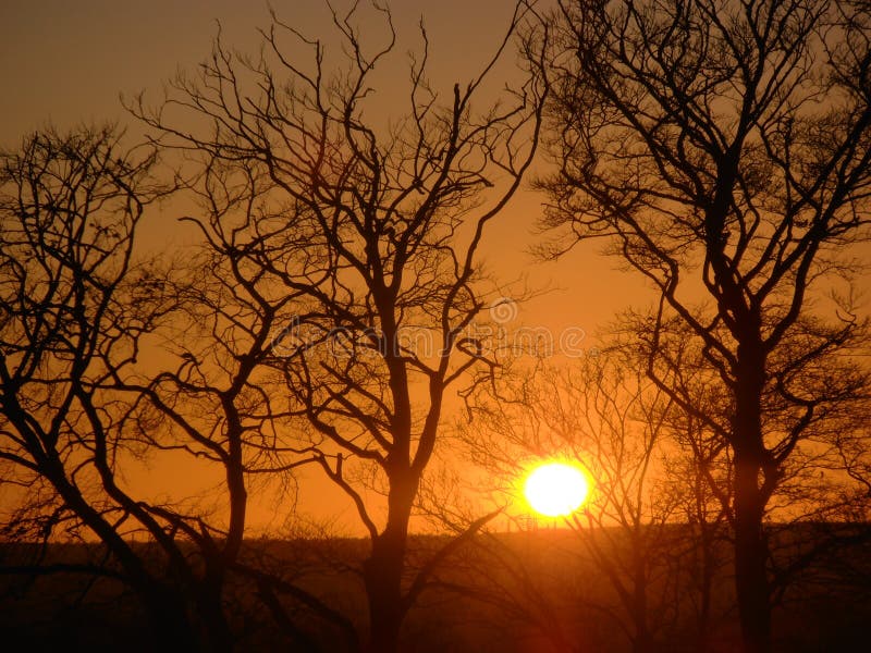 Magical Sunset stock image. Image of magical, trees - 152758175