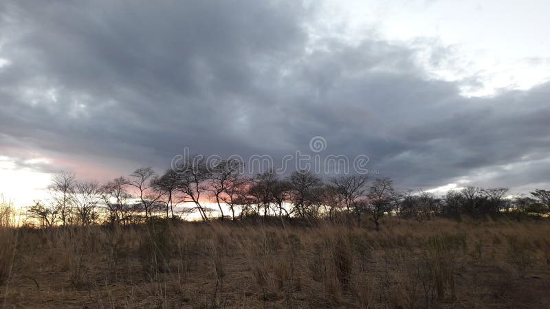Cool sunset in the field stock image. Image of open - 122834909