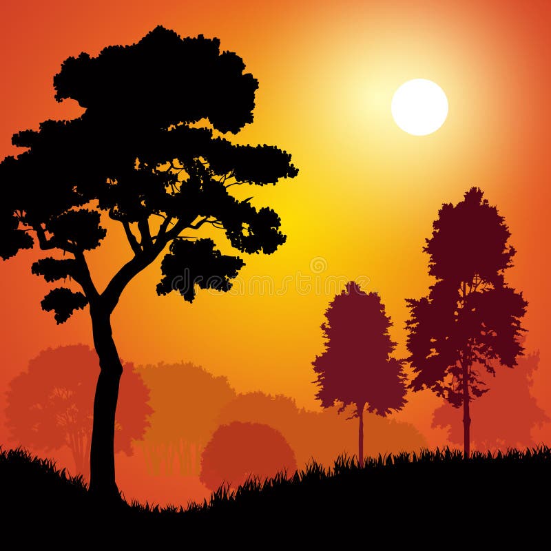 Trees at sunset stock vector. Illustration of forest - 64357931