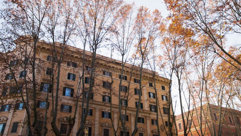 Trees Surrounding the Cityscape in Rome, Italy Stock Image - Image of ...
