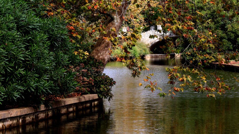 Fall landscape stock photo. Image of rural, orange, ripples - 205480682