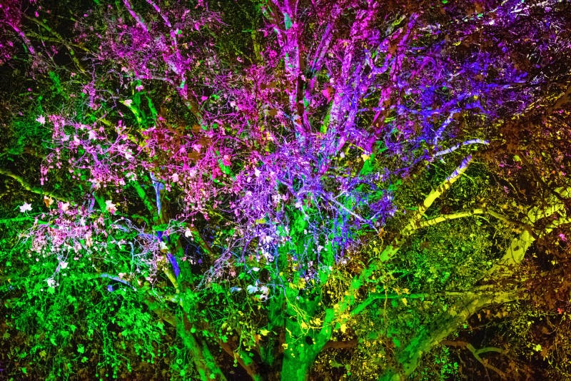 Glowing Trees - Neon Lights, Festive, Holidays. Stock Photo - Image of ...