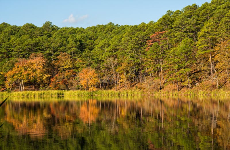 Trees and Their Reflection on Waters of Cedar Lake on an Oklahoma Fall ...