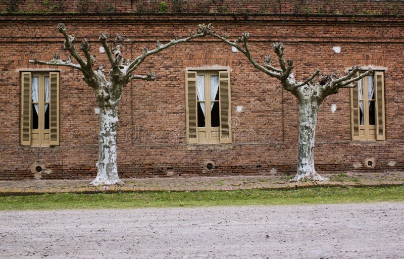 Trees and Three Windows in Historic House Stock Image - Image of house ...