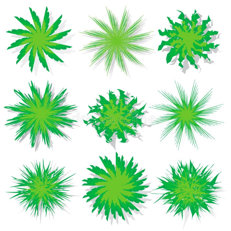 Different Trees top view stock vector. Illustration of environment ...