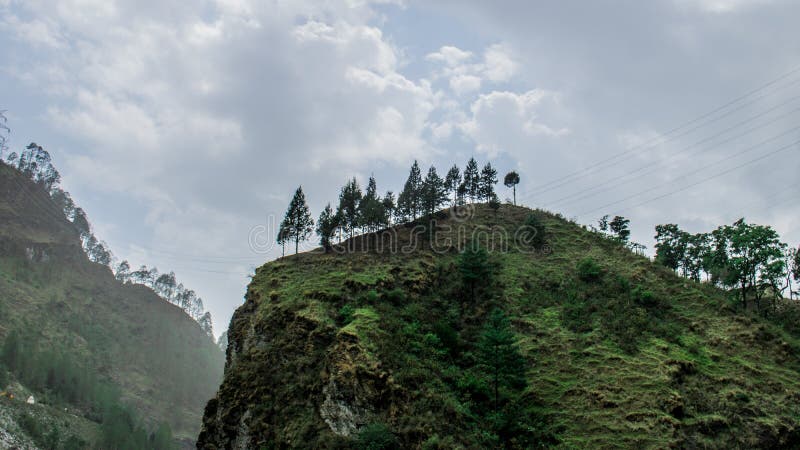 Trees are on Top of the Hill Stock Image - Image of combination, house ...