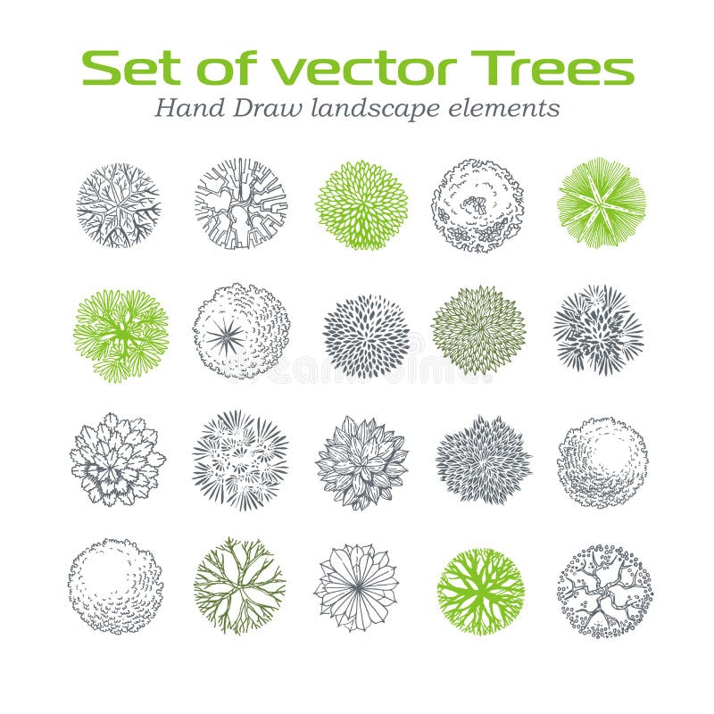 Different Plants and Trees Vector Set for Landscape Design Stock Vector ...
