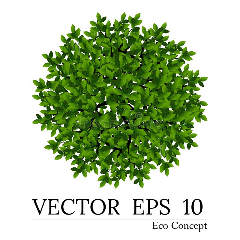 Trees Top View for Landscape Vector Illustration. Stock Vector ...
