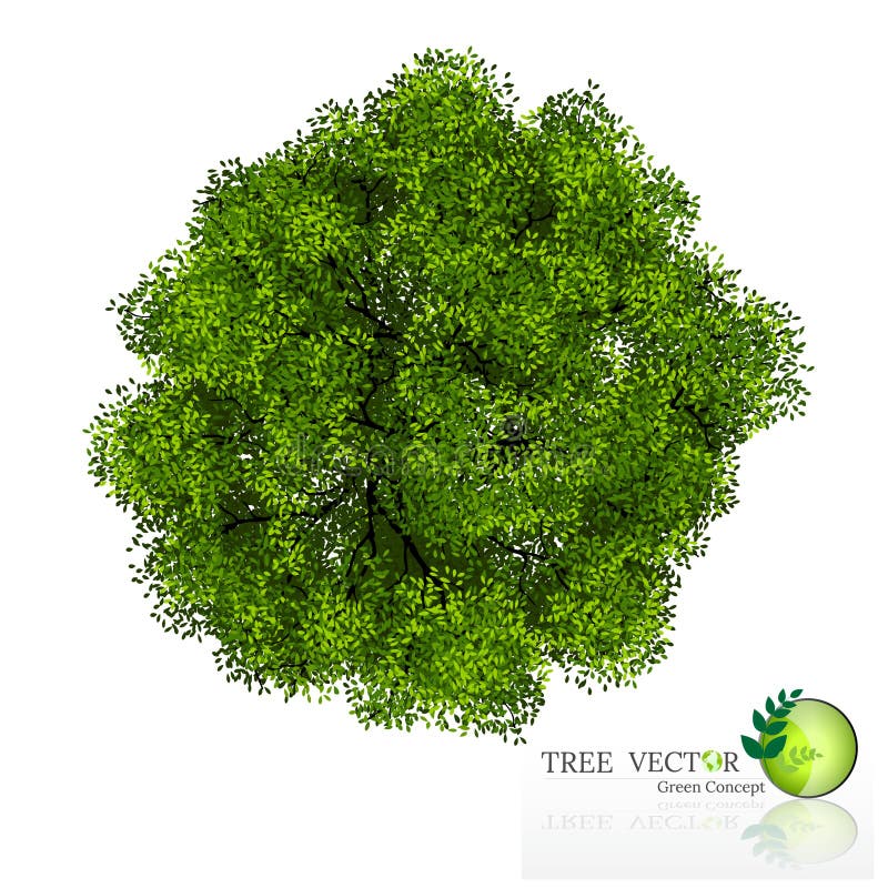 Trees Top View for Landscape Vector Illustration. Stock Vector ...