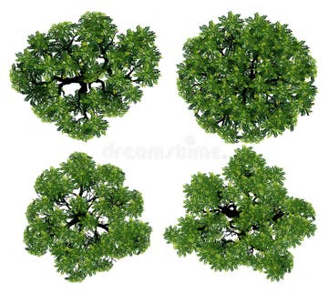 Trees Top View Map Stock Illustrations – 1,730 Trees Top View Map Stock ...