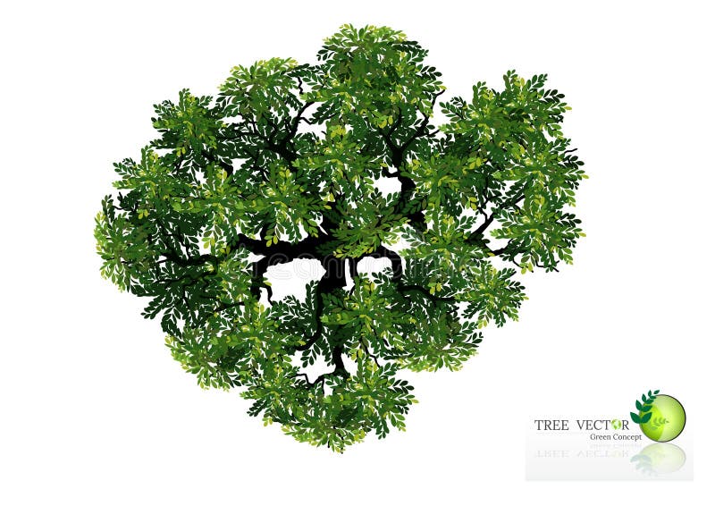 Trees Top View for Landscape Vector Illustration. Stock Vector ...