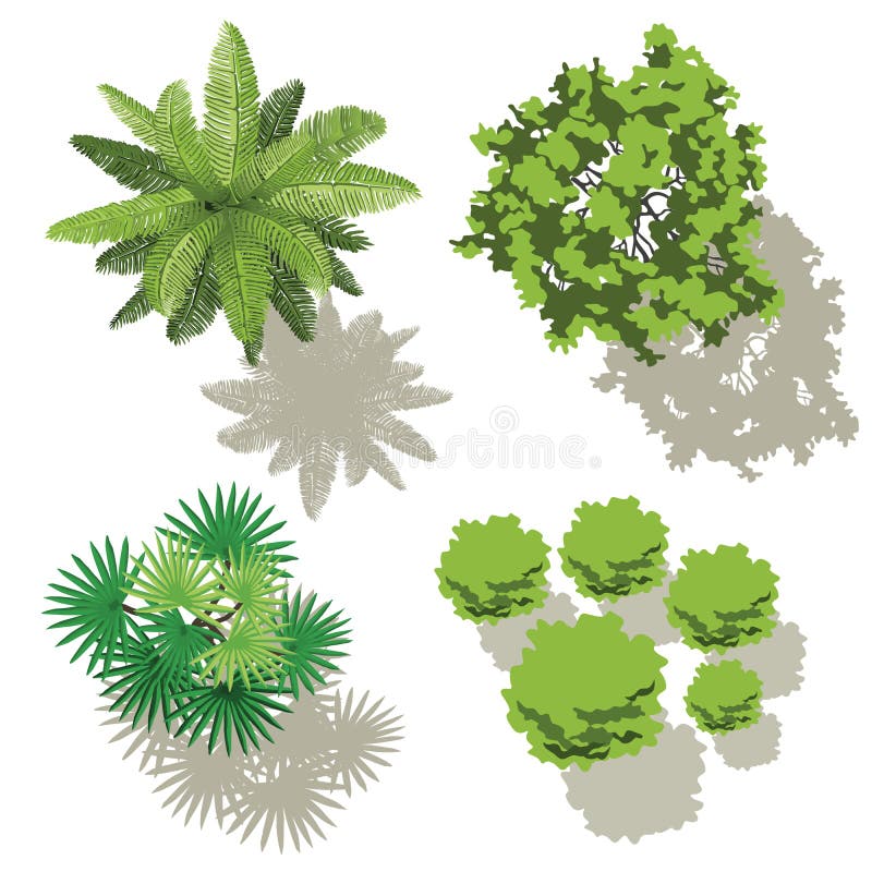 Trees top view for map stock illustration. Illustration of design ...