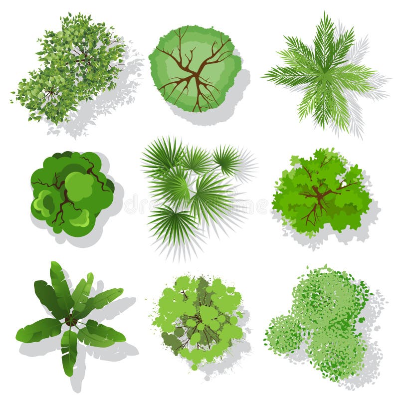 Trees - top view stock vector. Illustration of environment - 34251144