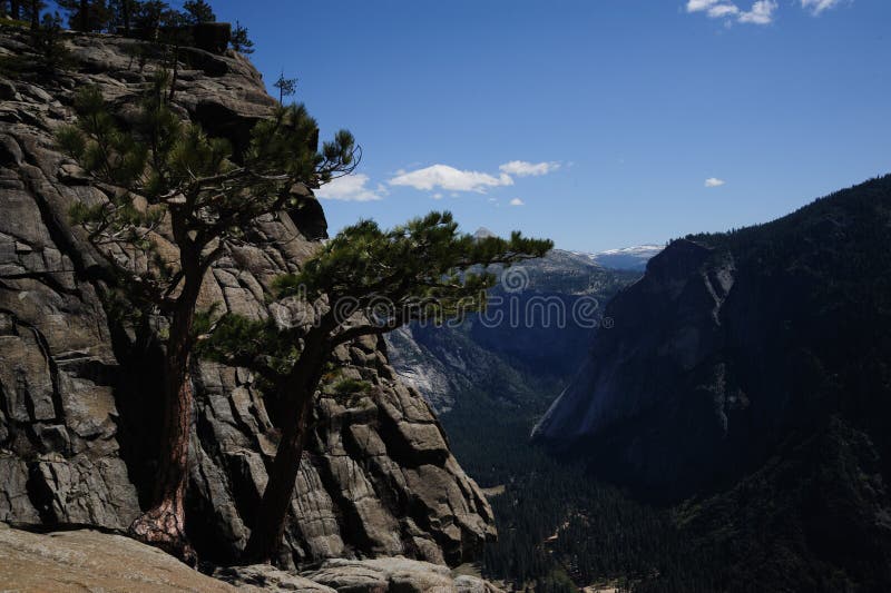 Trees at the Top of Yosemite Falls Stock Image - Image of outdoor, glow ...