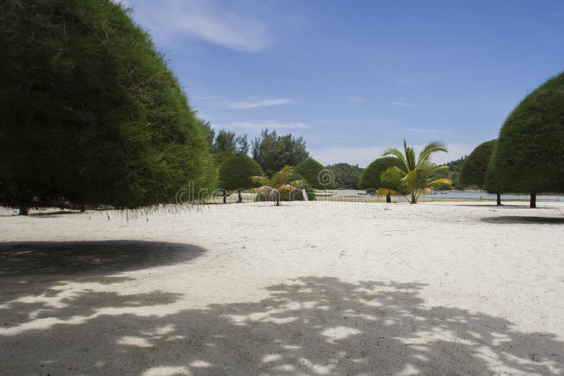Trees triangular shapes stock photo. Image of beach, summer - 91971606