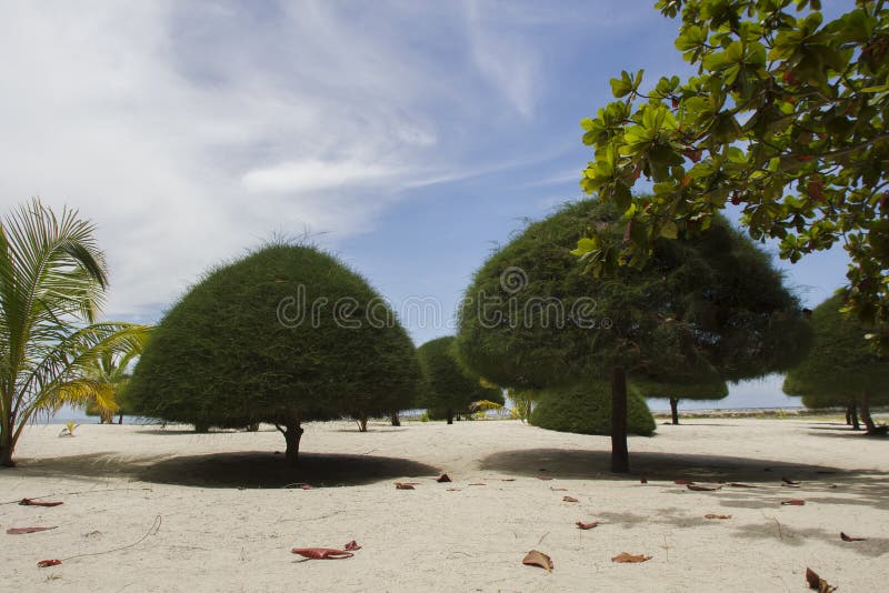 Trees triangular shapes stock image. Image of horizon - 91971663