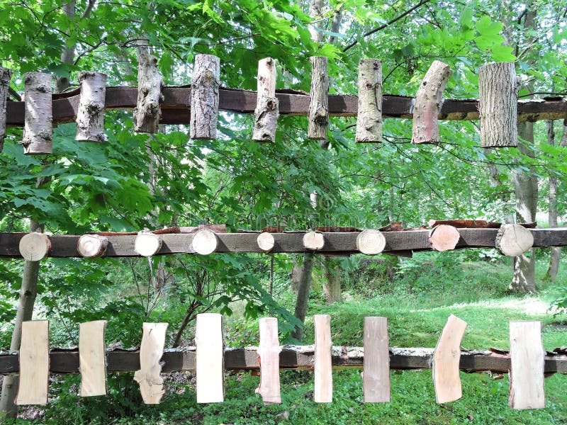 Trees trunk examples stock photo. Image of tree, grass - 57229678