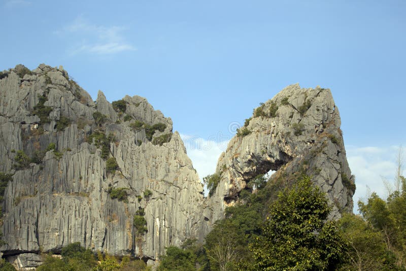 Trees under rocks. stock image. Image of outcrop, escarpment - 24148433