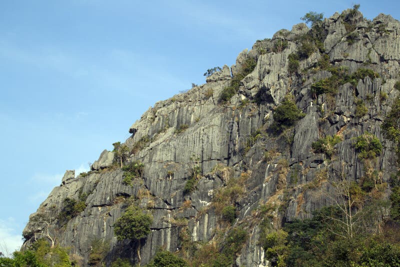 Trees under rocks. stock photo. Image of destination - 24148424
