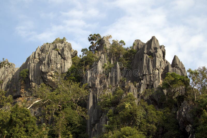 Trees under rocks. stock photo. Image of hiking, estes - 24148488