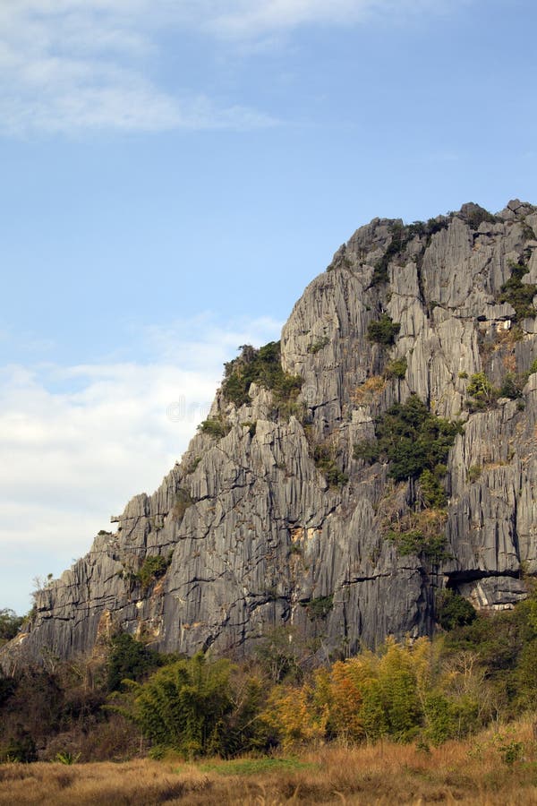 Trees under rocks. stock image. Image of sill, mountain - 24148499