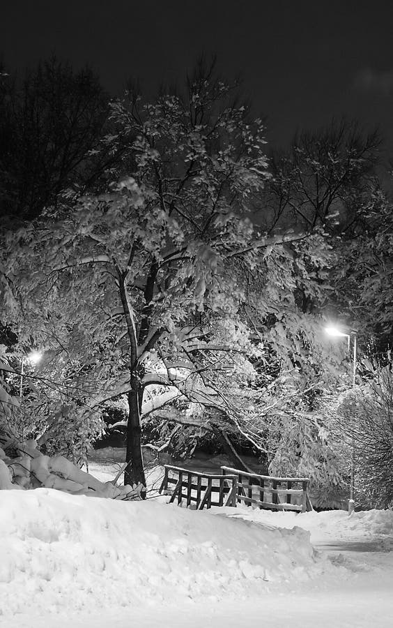 Trees Under Snow and Bridge in Winter Evening Black and White Stock ...