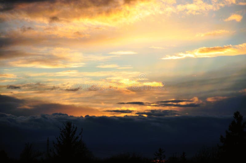 Trees Under the Sunset Colours Stock Image - Image of tree, time: 346215725