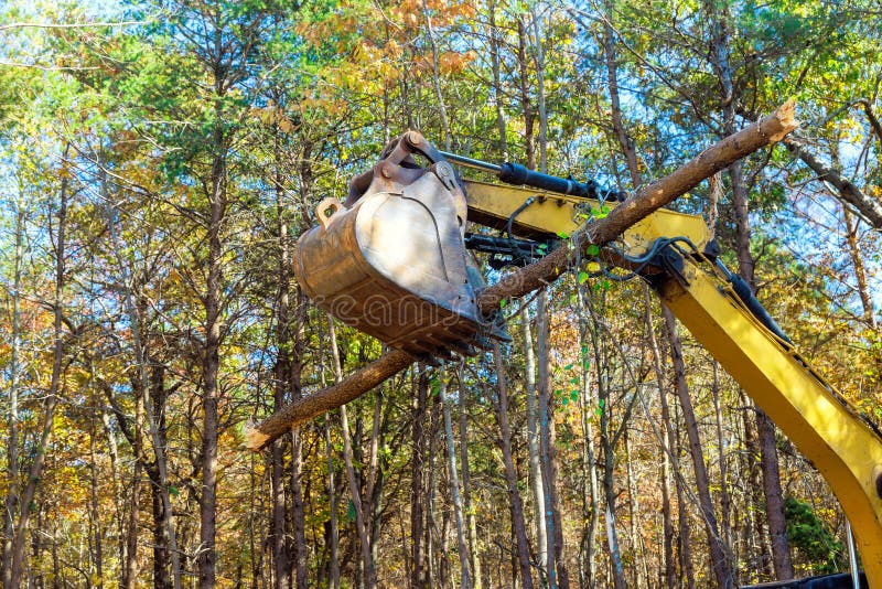 Trees are Uprooted by a Builder Using Tractor To Prepare Ground for ...