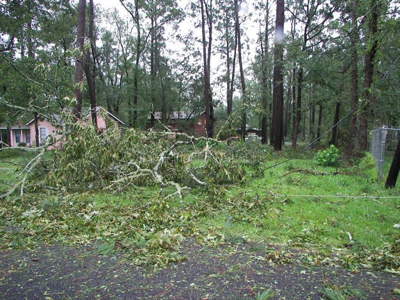 Trees and Utility Lines Down after Storm Stock Image - Image of lines ...