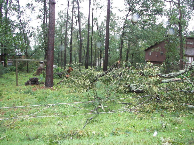 Trees and Utility Lines Down after Storm Stock Image - Image of weather ...