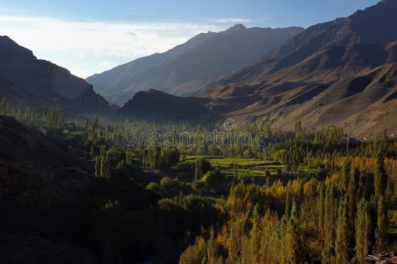 Trees valley stock photo. Image of himalaya, peak, rocks - 1470906