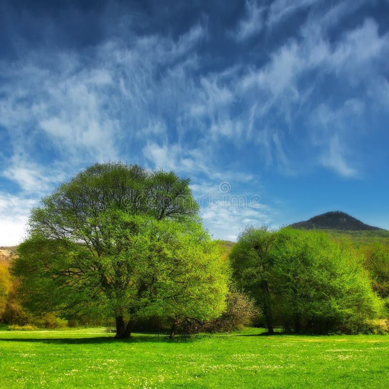 Trees in the valley stock image. Image of cloud, lakeside - 23230793