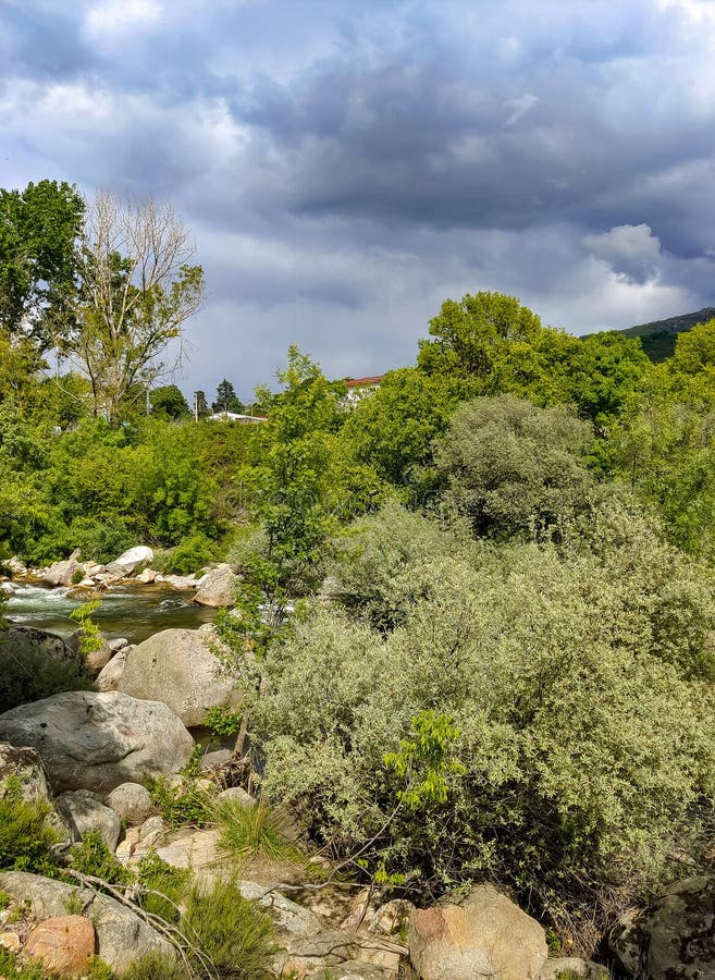 Trees in the valley stock photo. Image of landscape - 271758866