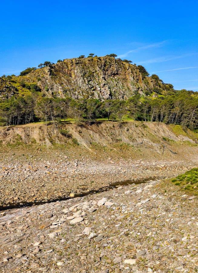 Trees in the valley stock image. Image of winter, spain - 269243473
