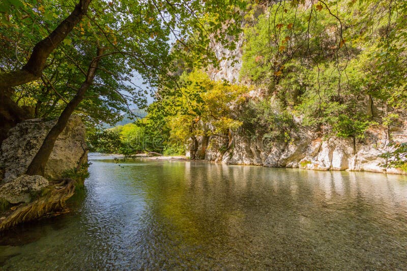 Trees and Vegetation at Acheron River in Greece Stock Photo - Image of ...