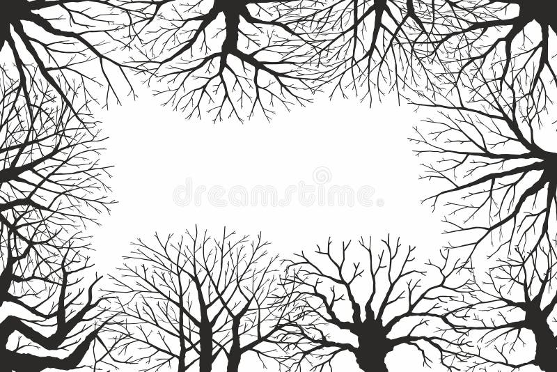 Trees view from below stock vector. Illustration of tree - 85158991