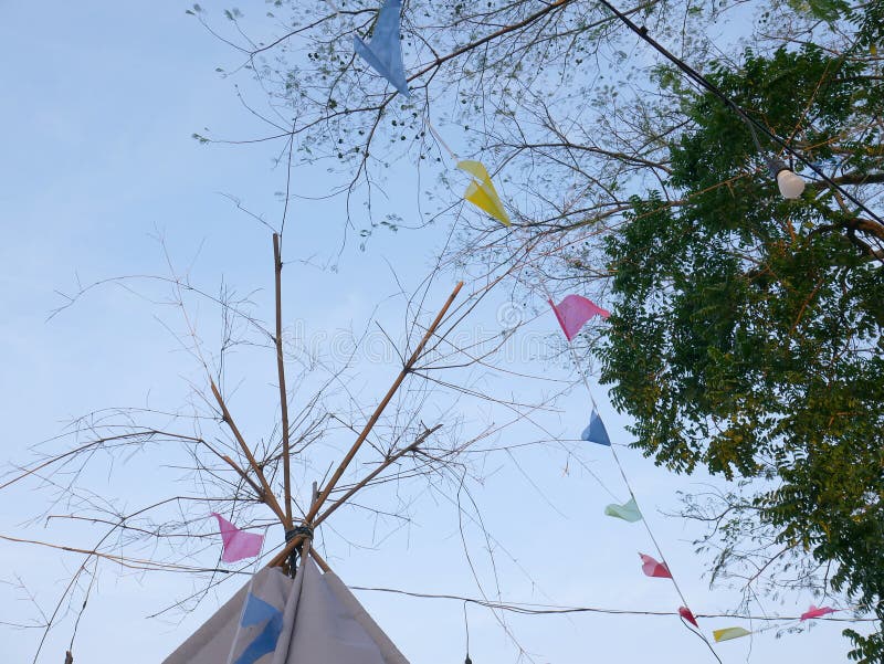 Trees View from the Ground To the Sky with Colorful Flags Stock Photo ...