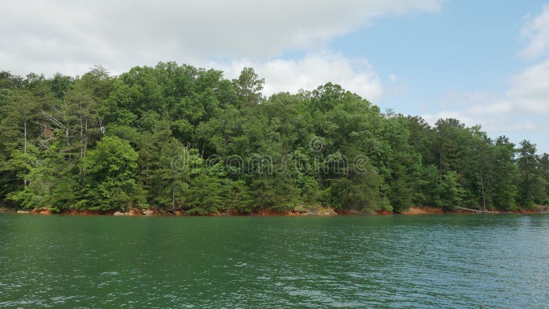 Trees Viewed from Across a Lake Stock Photo - Image of rock, grass ...
