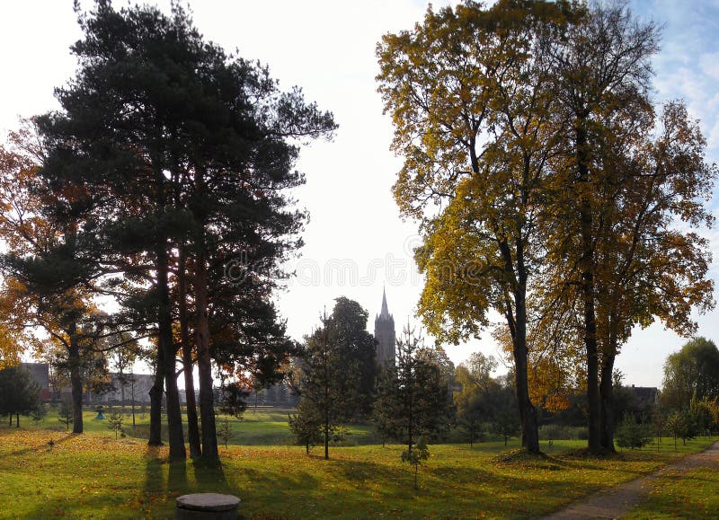 Trees in village. stock image. Image of quiet, outdoor - 11345259
