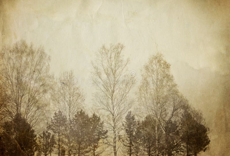 Trees on Vintage Paper Sheet. Stock Image - Image of countryside ...