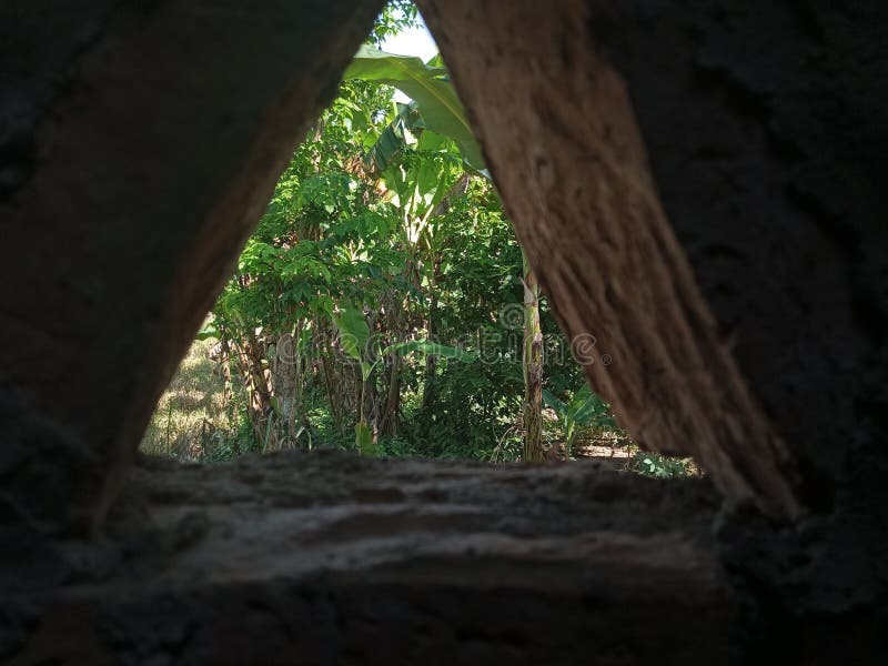 The Trees are Visible on the Triangular Rock Stock Photo - Image of ...