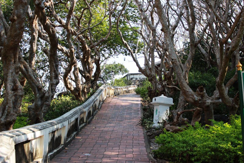 Trees beside walkway stock photo. Image of walkway, attraction - 49510550