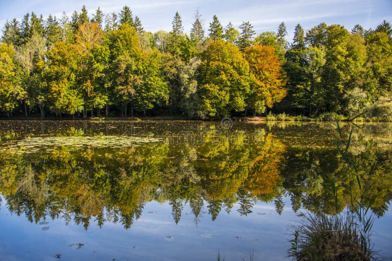 Trees in Warm Colors of the Autumn with Reflections Stock Photo - Image ...