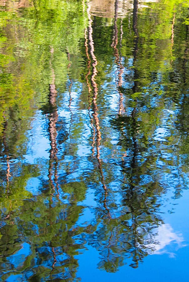 Trees Water Reflection stock photo. Image of background - 68989774